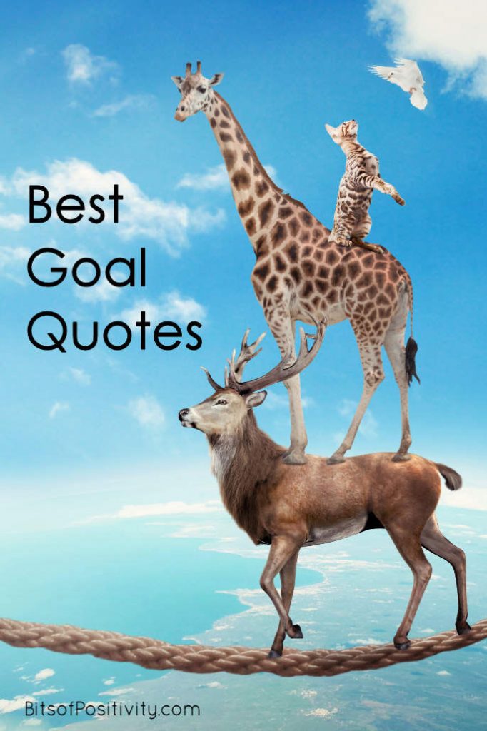 Best Goal Quotes