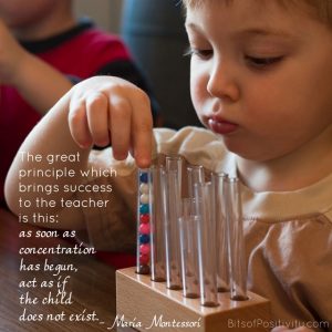 Best Maria Montessori Quotes - Bits of Positivity